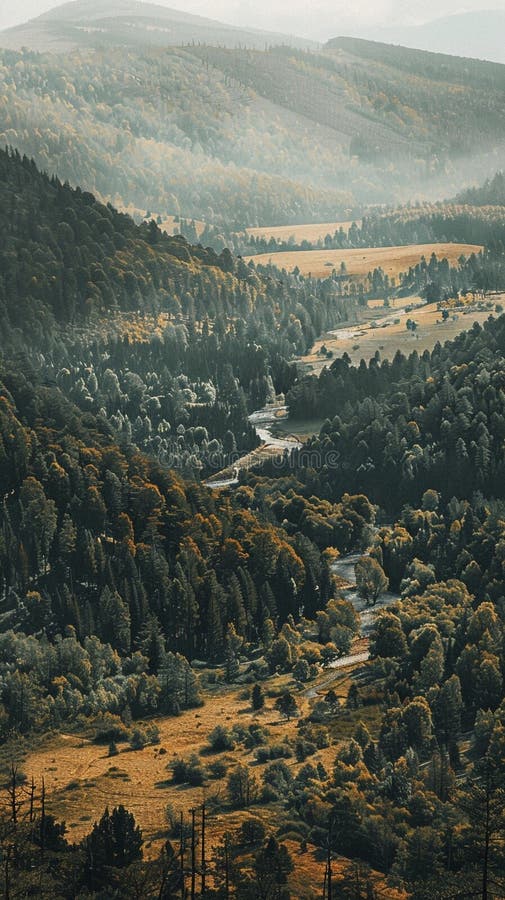 Scenic Valley Meandering through Forests Stock Illustration ...