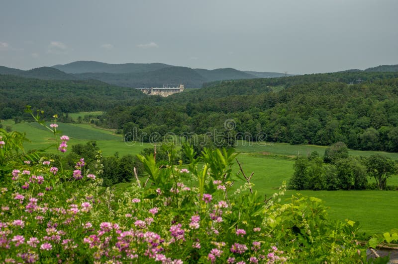 Scenic Valley Overlook stock image. Image of flowers - 155717627
