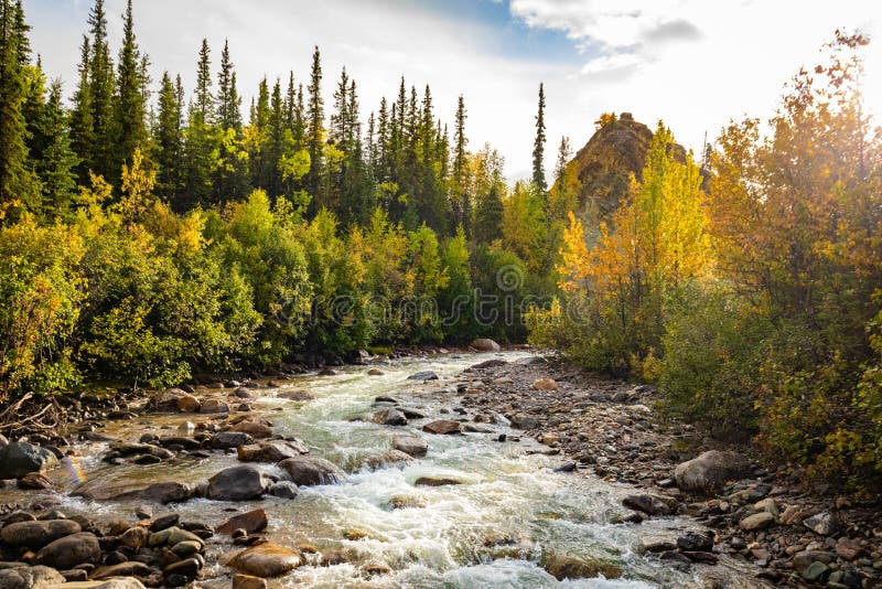Scenic View of Alaska River in Colorful Forest Trees in Fall Stock ...