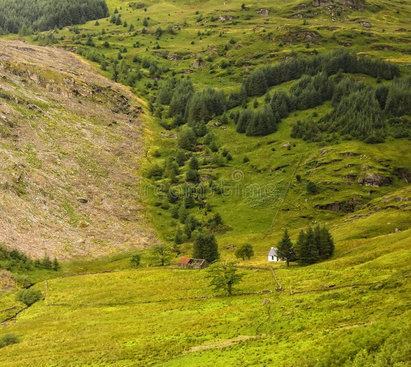 Argyll Forest Park , Scottish Highlands, Scotland Stock Image - Image ... Argyll Forest Park , Scottish Highlands, Scotland Stock Image - Image ...