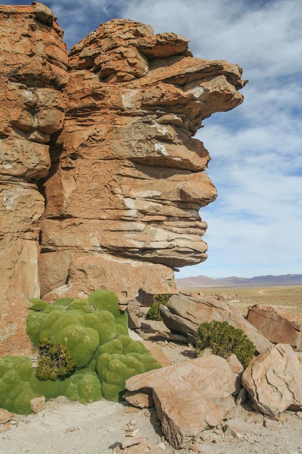 A Scenic View of the Atacama Desert / Bolivia Stock Photo - Image of ...