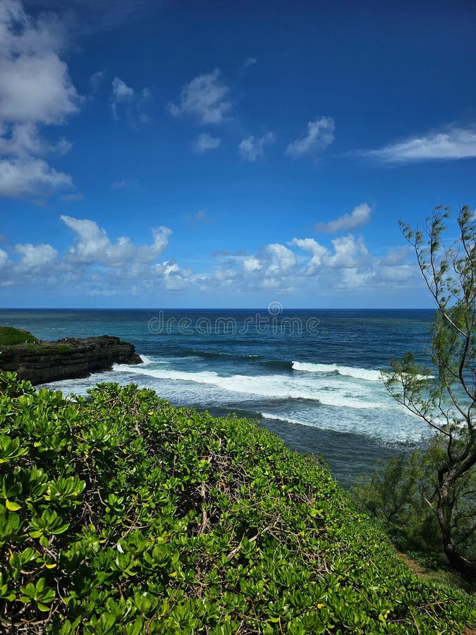 Scenic View of a Beach and the Distant Ocean from a Sandy Path Running ...