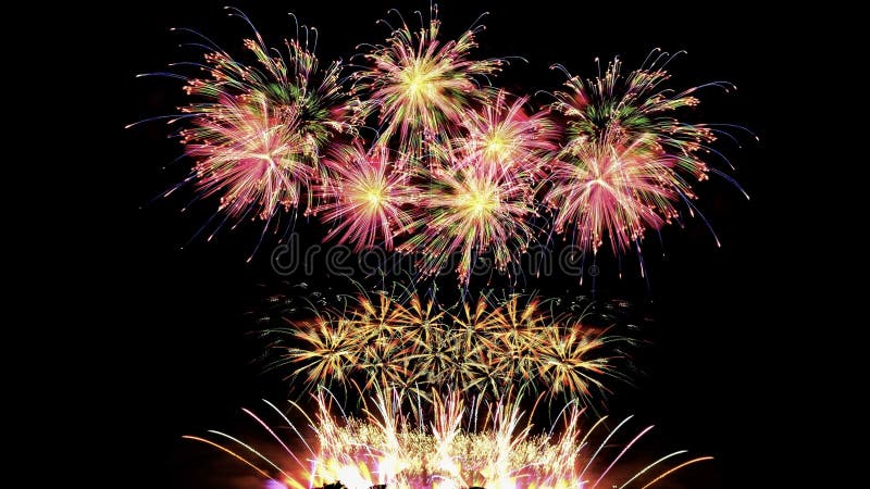 Scenic View of Beautiful Colorful Flowers Exploding in the Air during a ...