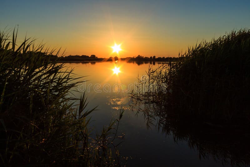 Top View of a Sunset or Sunrise in an Agricultural Field with Ears of ...