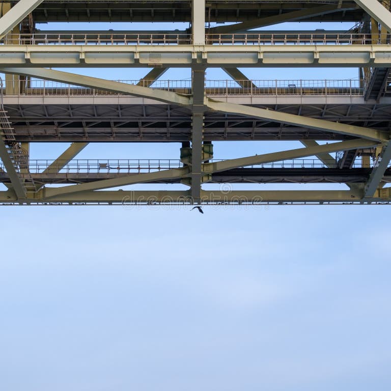 Scenic View of Bird Flying Under the Metallic Bridge Stock Photo ...