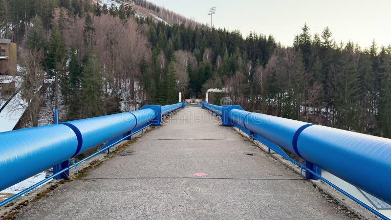 The Blue Pipe Bridge Gracefully Stands in a Serene Forest Setting ...