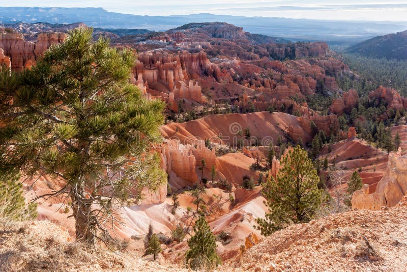 Scenic View of Bryce Canyon Stock Photo - Image of holiday, coloured ...