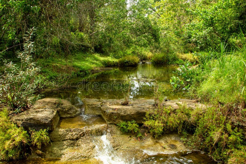A Scenic View of Calm Creek Stock Image - Image of tranquil, nature ...