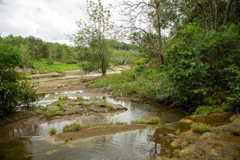 A Scenic View of Calm Creek Stock Image - Image of natural, nature ...