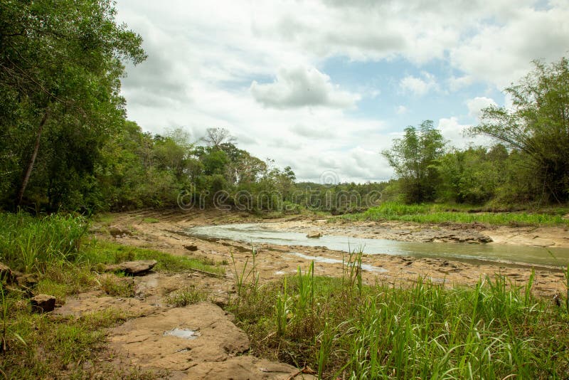 A Scenic View of Calm Creek Stock Photo - Image of stream, scene: 263652282