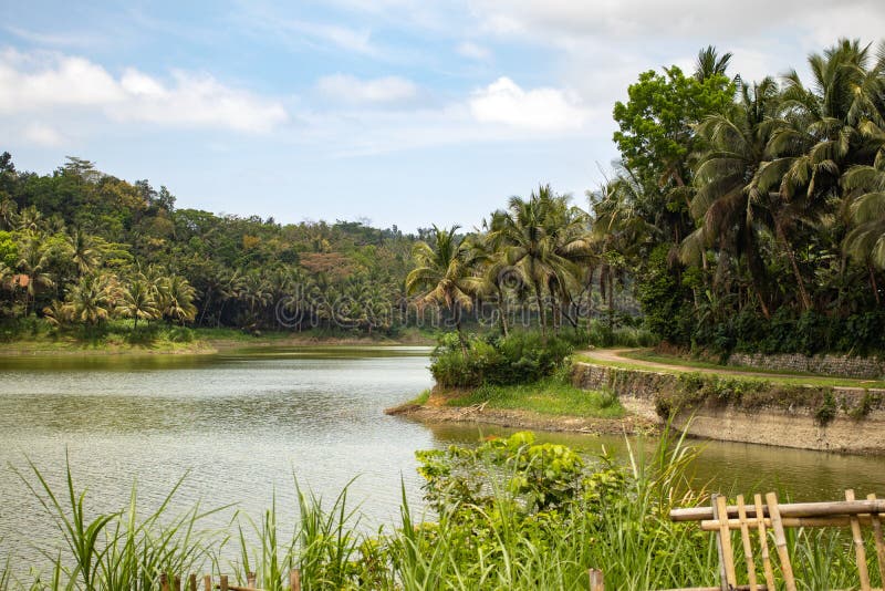 A Scenic View of Calm Creek Stock Image - Image of blue, travel: 263654351