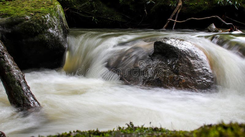 Scenic View of a Cascade Flowing through Rocks Covered with Moss in a ...