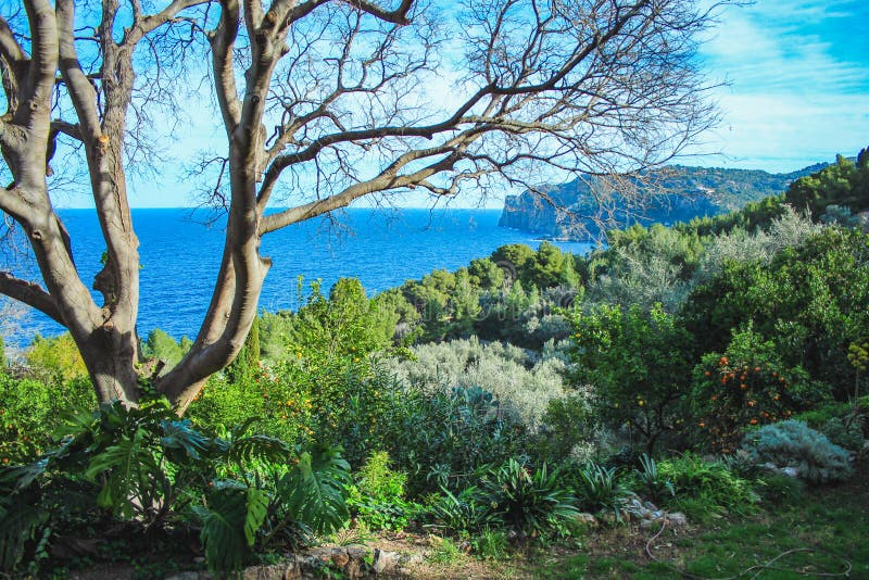 Scenic View of Coast in Deia, Mallorca, Spain Stock Image - Image of ...