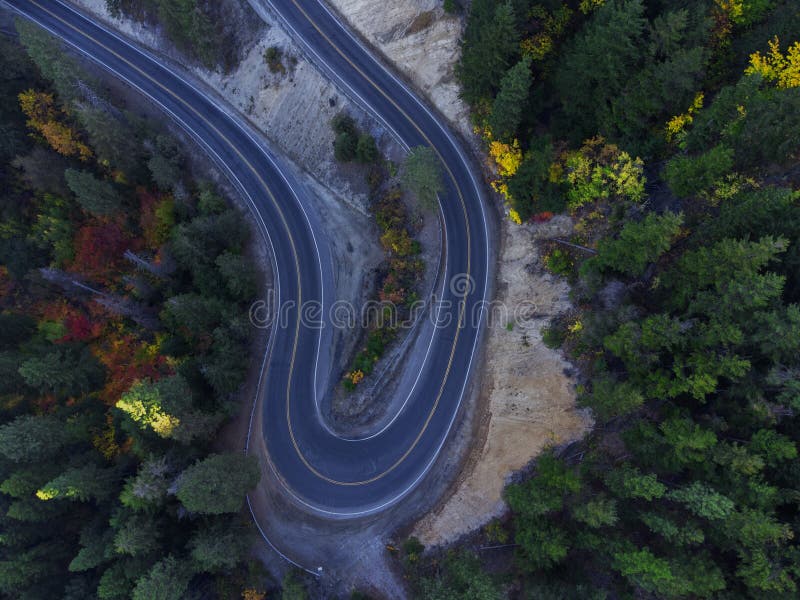 Scenic View of a Curved Country Road in the Middle of a Forest Stock ...
