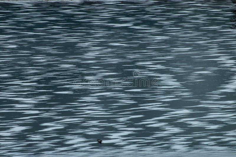Scenic View of Dark Grey Water with a Rippling Surface Stock Image ...