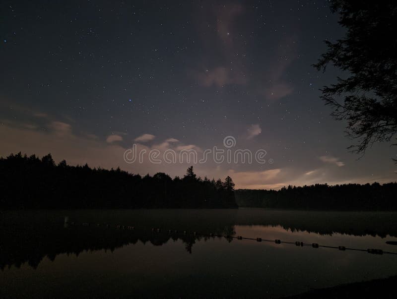 Scenic View of Dense Forest Reflecting on a Tranquil Lake Under a ...