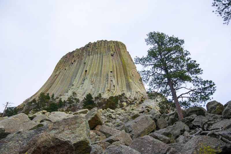 Devils Tower and Tree in a Barren Landscape Stock Image - Image of view ...