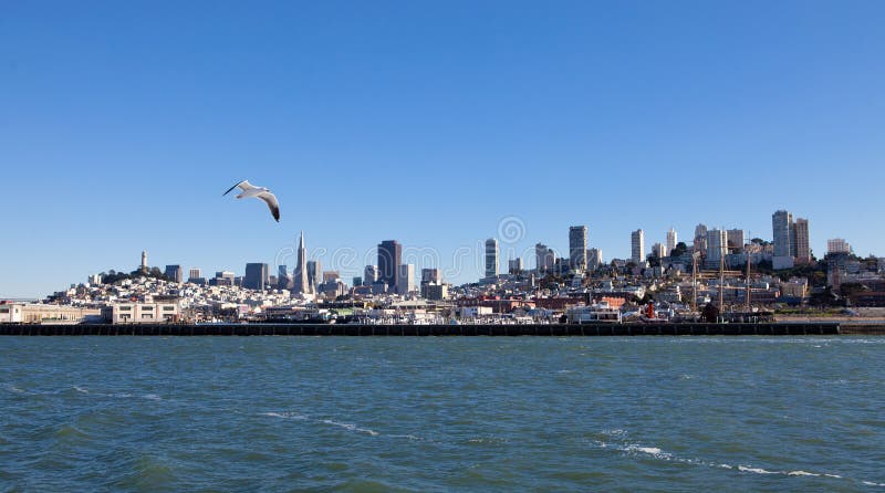 Scenic View of Downtown San Francisco Stock Photo - Image of business ...