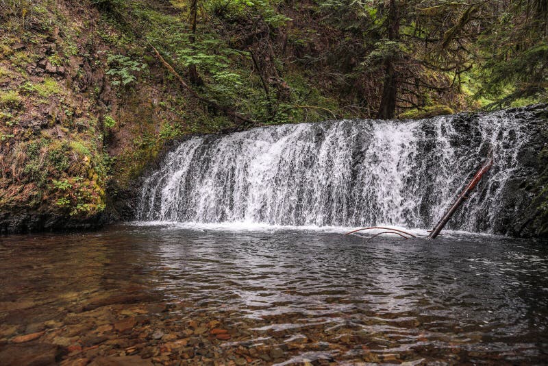 Scenic View of Dutchman Falls Stock Image - Image of tree, forest ...