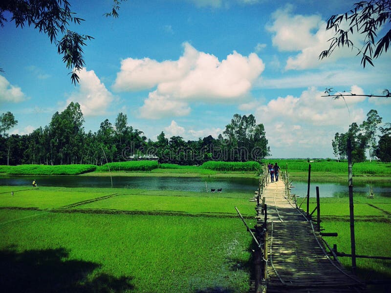 Scenic View Of The Farm Picture. Image: 109914091