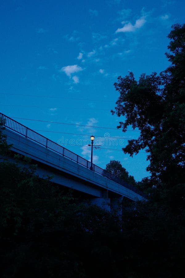 View Featuring a Bridge and Tall Trees Lining the Roadway with a Single ...