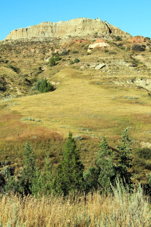 Scenic View of a Flat Topped Mountain Stock Photo - Image of woodland ...