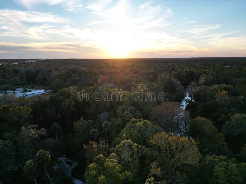 Scenic View of a Forest Landscape with Lush Nature and Vegetation at ...