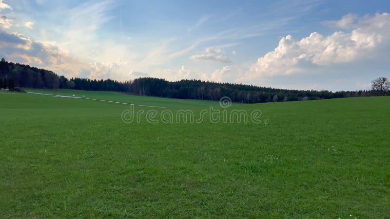 Scenic View of Grass Field and Forest Stock Video - Video of wildlife ...