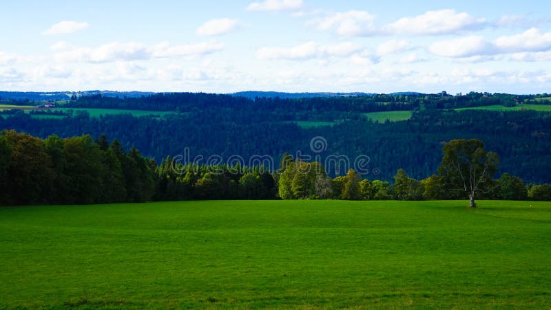 Scenic View of a Greenfield in Switzerland Stock Photo - Image of leaf ...