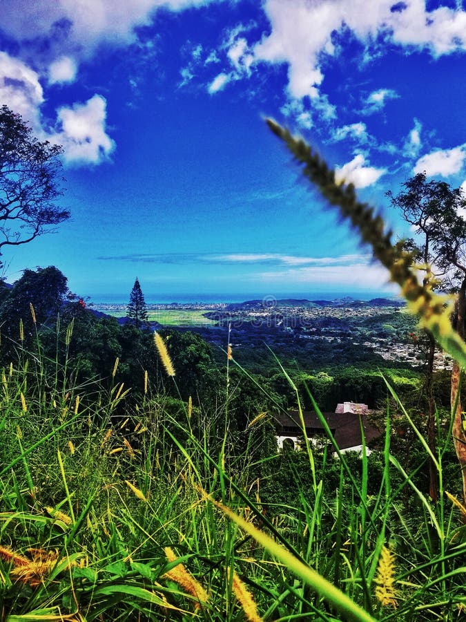 Scenic View Hawaii Blue Sky Stock Image - Image of greenery, nature ...