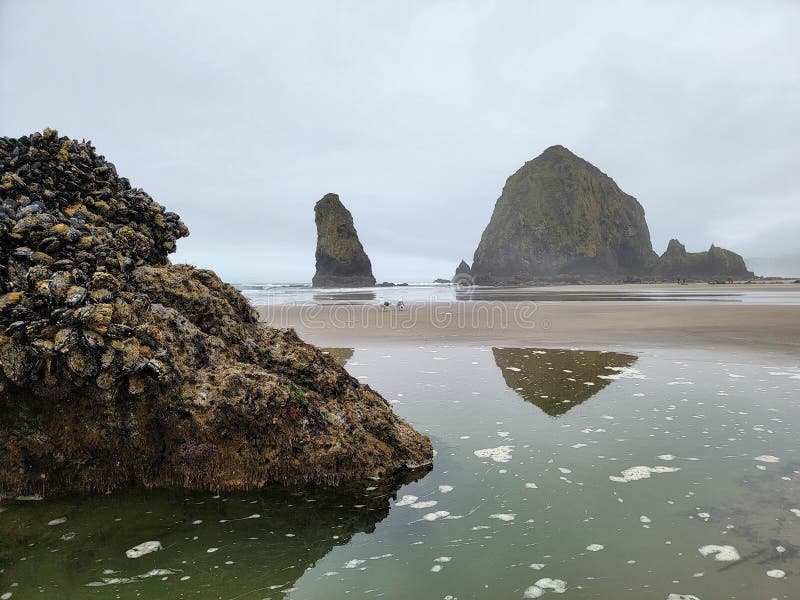 Scenic View of Haystack Rock at Cannon Beach, Oregon with Tide Pools ...
