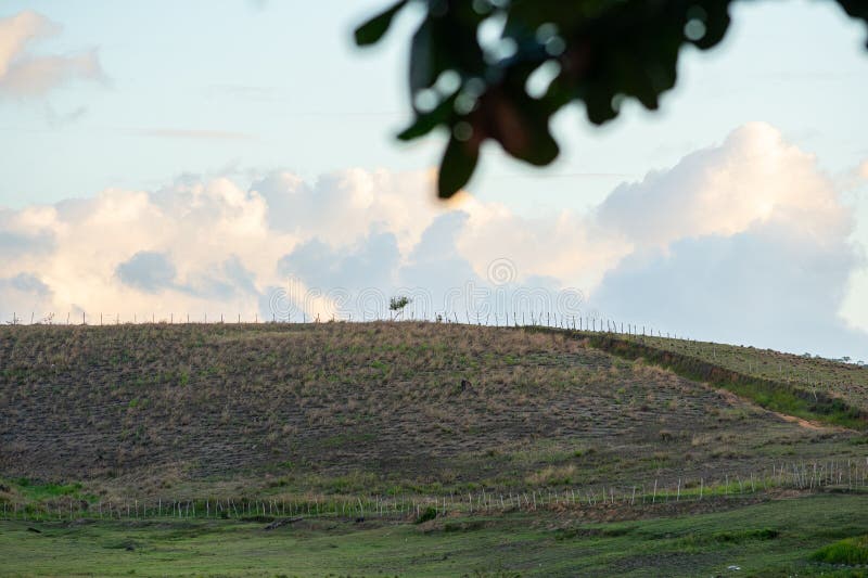 Scenic View of Hills with Blue Sky Stock Image - Image of weather ...