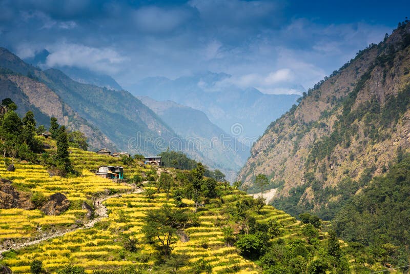 Scenic View of the Himalaya Mountains Stock Photo - Image of landscape ...