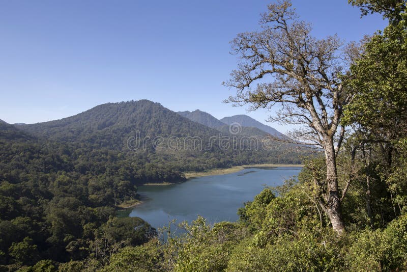 Scenic View of Kintamani in Bali Stock Photo - Image of beach, view ...