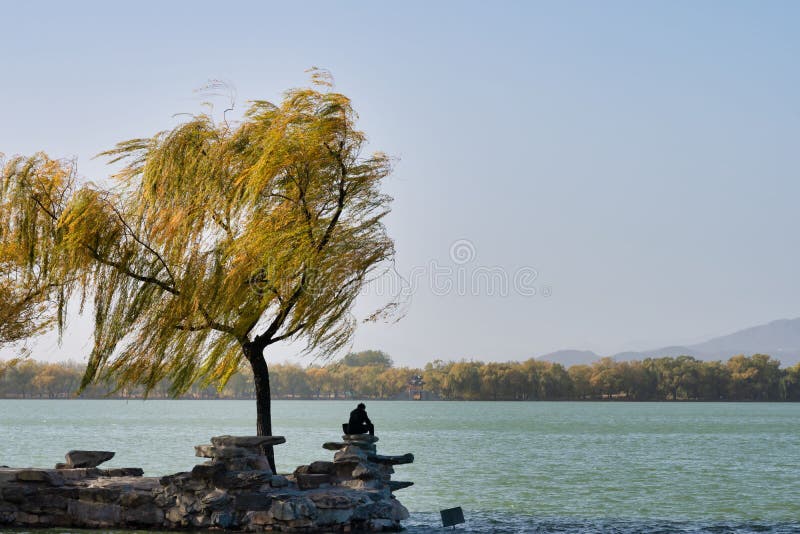 Scenic View of a Lake Scenery with a Man Sitting Alone on the Rocks ...