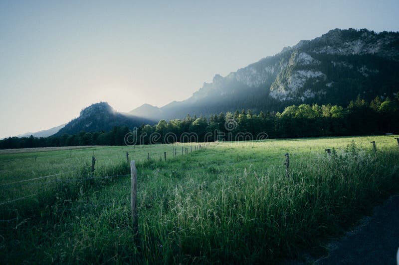 A Large Grassy Field with an Area Cut Out of Grass Stock Image - Image ...