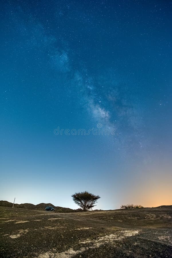 Scenic View of a Lone Tree on a Hill Under a Starry Night Stock Image ...