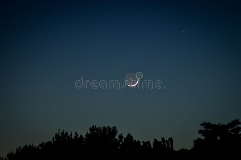 Scenic View of a Lunar Eclipse in the Dark Blue Sky Above Treetops ...