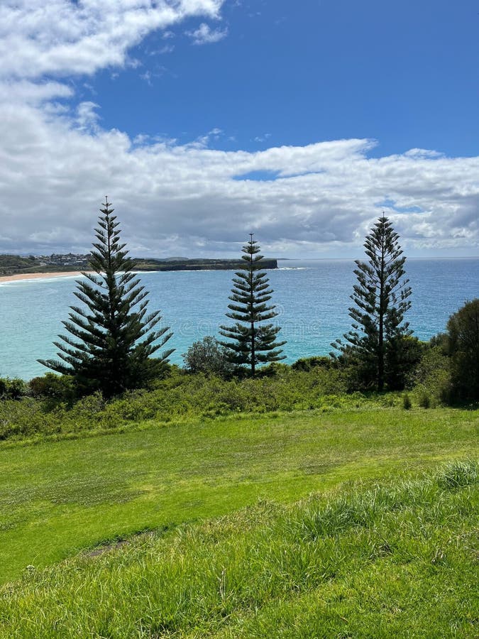 Scenic View of Lush Tree-covered Hillside on the Beach Stock Photo ...