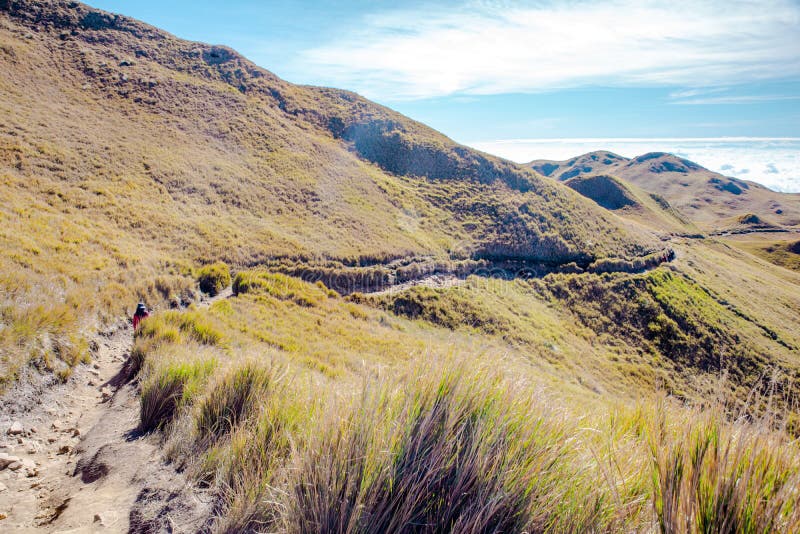 Scenic View of Mount Pulag National Park, Benguet, Philippines Stock ...
