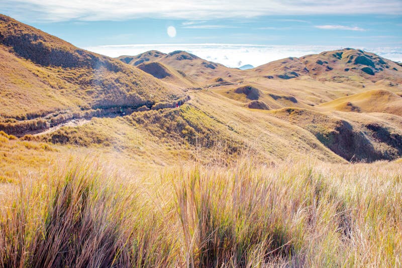 Scenic View of Mount Pulag National Park, Benguet, Philippines Stock ...
