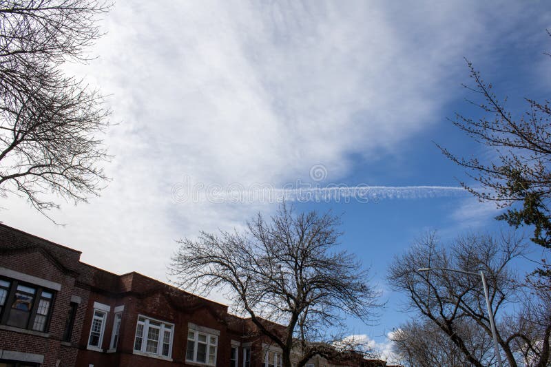 Scenic View of Multiple Trees Line the Sidewalk beside a Building with ...