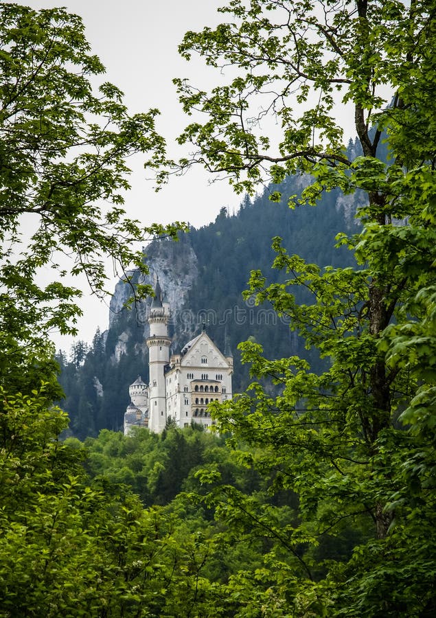 Scenic View of Neuschwanstein Castle in Bavaria Stock Image - Image of ...