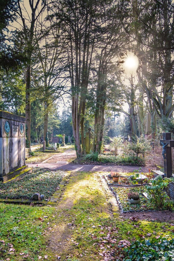 Scenic View of an Old Empty Cemetery Covered with Greenery Stock Photo ...
