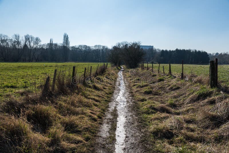 Scenic View Over Mud Walking Path in Brussels, Molenbeek Stock Photo ...