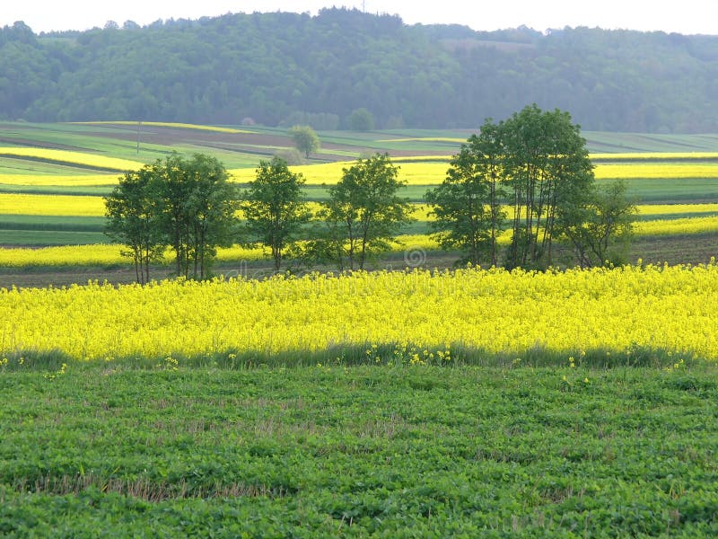 Scenic View Over Typical Poland Landscape Stock Image - Image of trees ...