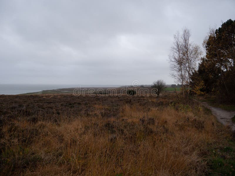 Scenic View of an Overgrown Path on an Ancient Road, Leading Towards ...