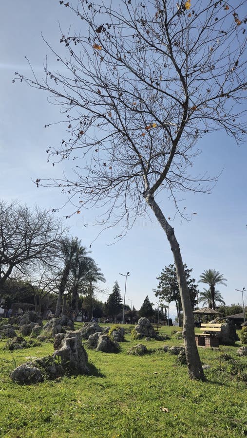 Scenic View of a Park in Antalya, Turkey. Stock Photo - Image of autumn ...