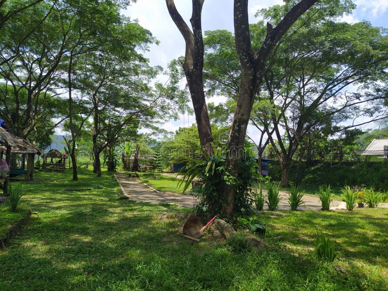 Scenic View of a Park with Lush Green Nature and Vegetation in Daylight ...