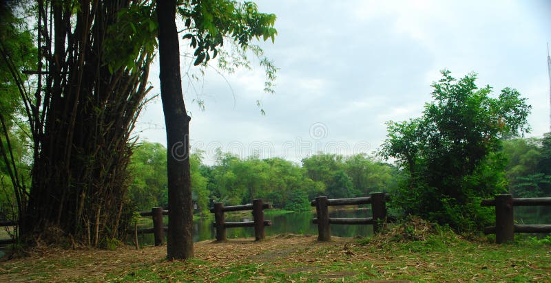 Scenic view of a park stock photo. Image of forest, meadow - 227364004